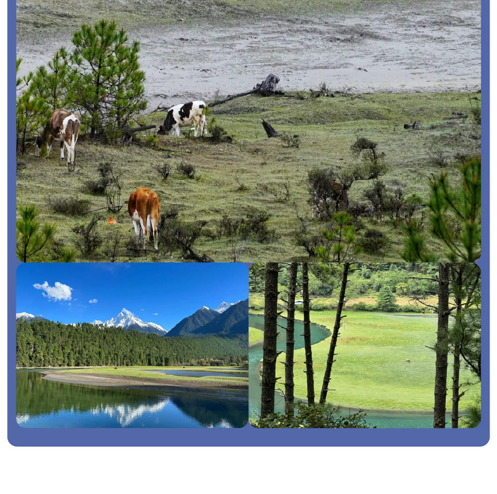 7-day private tour in Tibet (Nyingchi + Yarlung Zangbo Grand Canyon ...